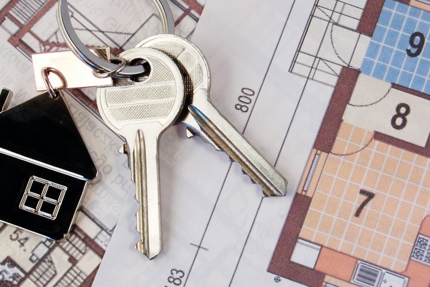 Оренда квартир зросла на 10 % – Держстат | Flombu.com